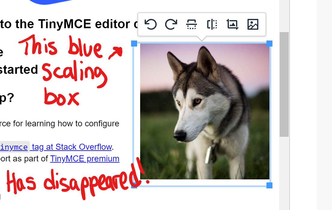 ImageTools drag-based scaling has disappeared! · Issue #7762 · tinymce ...