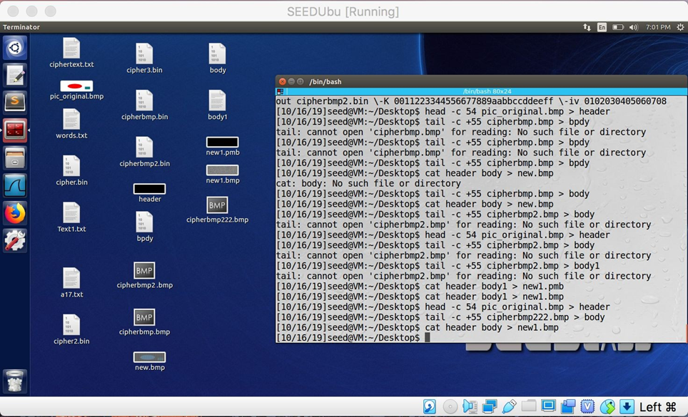 GitHub - yasirsaleem007/Secret-Key-Encryption-lab