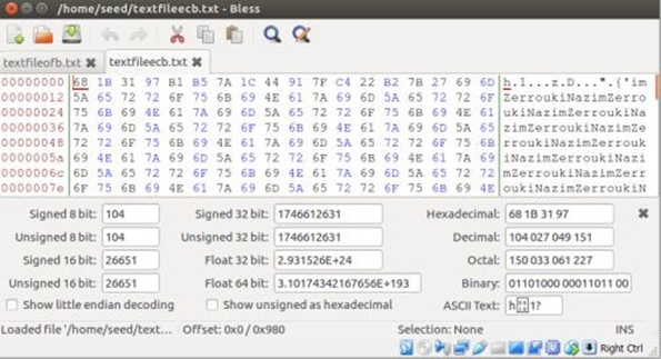 GitHub - yasirsaleem007/Secret-Key-Encryption-lab