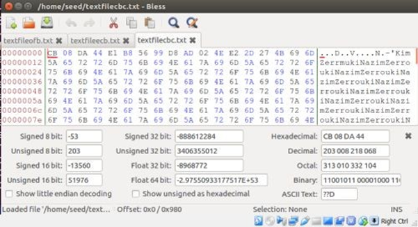 GitHub - yasirsaleem007/Secret-Key-Encryption-lab