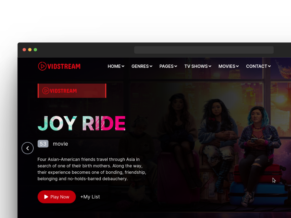 GitHub - Newton-Nganga/vidstream: A Nextjs 13 Typescript Movies ,Shows and Documentaries web ...