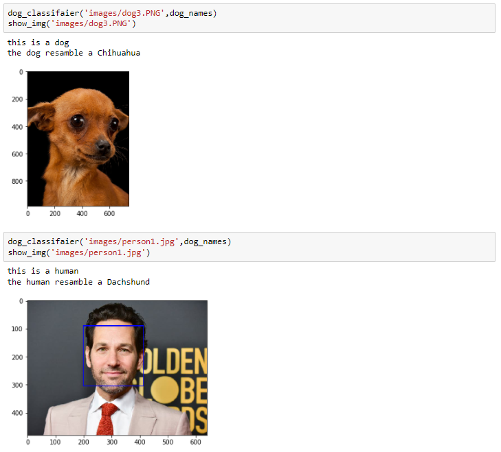 GitHub - ibasel79/dog-breed-classification