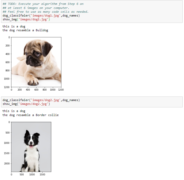 GitHub - ibasel79/dog-breed-classification