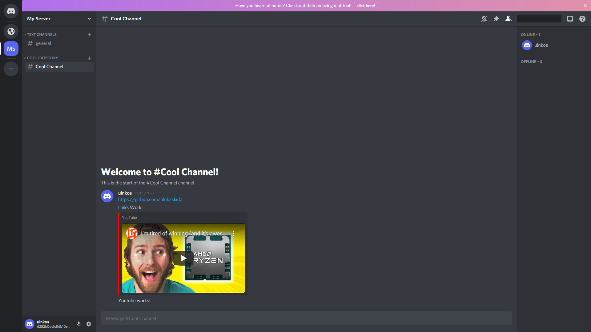 GitHub - turnsoles0/skid: A shittier, more complicated solution for discord.