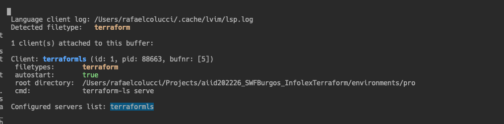 No Syntax Highlighting For Terraform Tf Files · Issue 2684 · Lunarvimlunarvim · Github