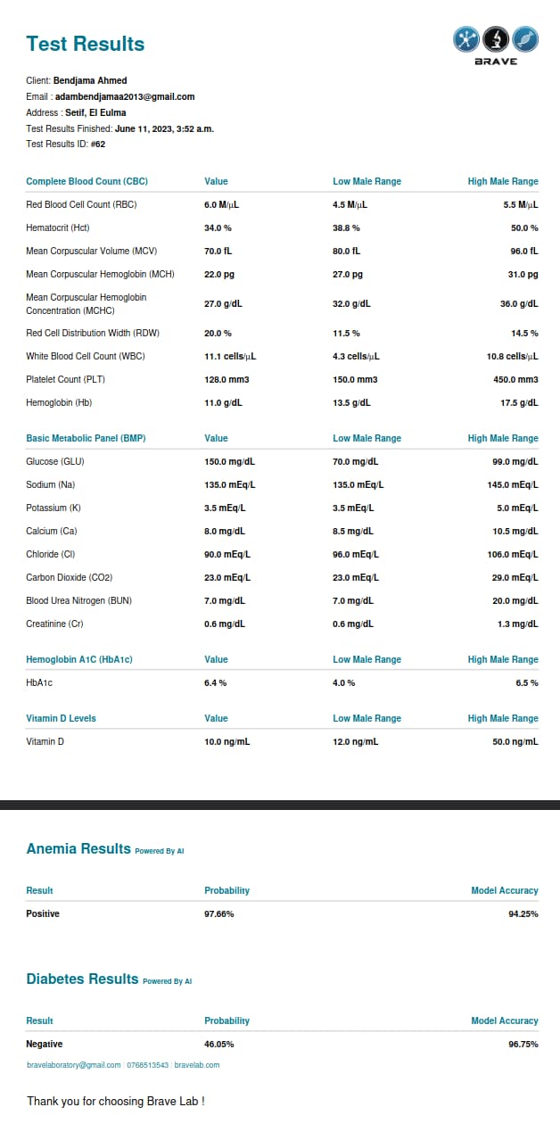 GitHub - AdemBendjama/Brave-Lab: Online Management System of a Blood Analysis Laboratory