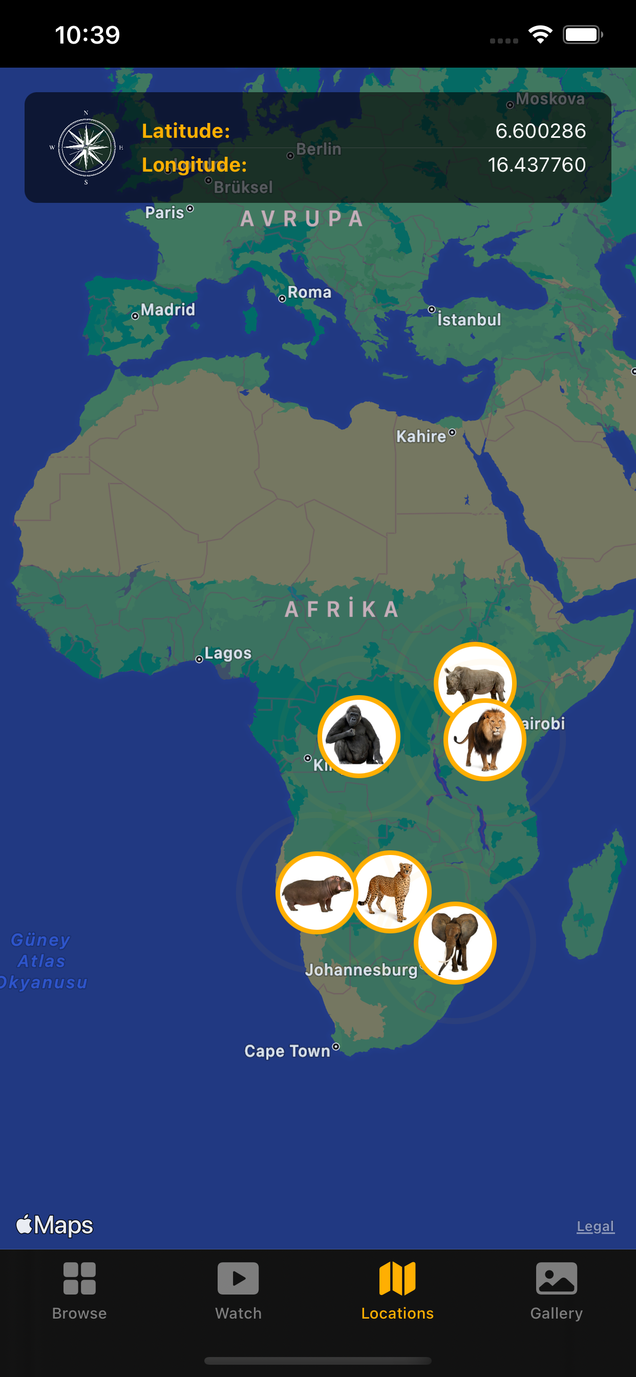 GitHub - metin-atalay/AfricaAnimals: SwiftUI Animals Info Application