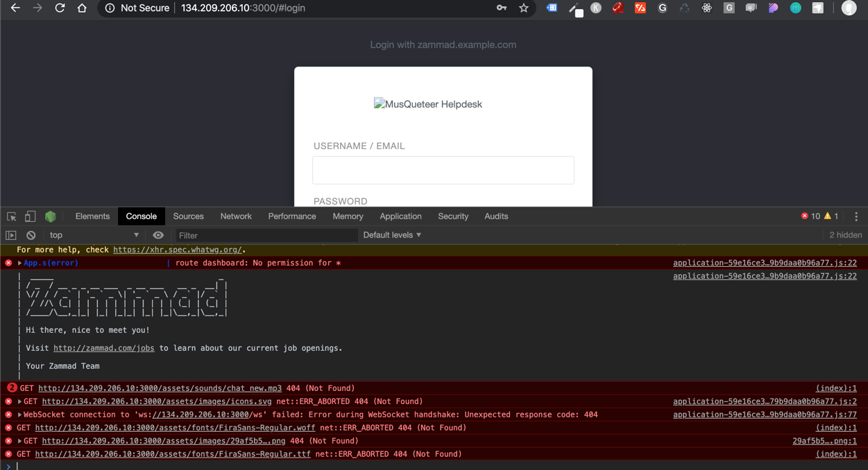 Assets Error · Issue #2816 · zammad/zammad · GitHub