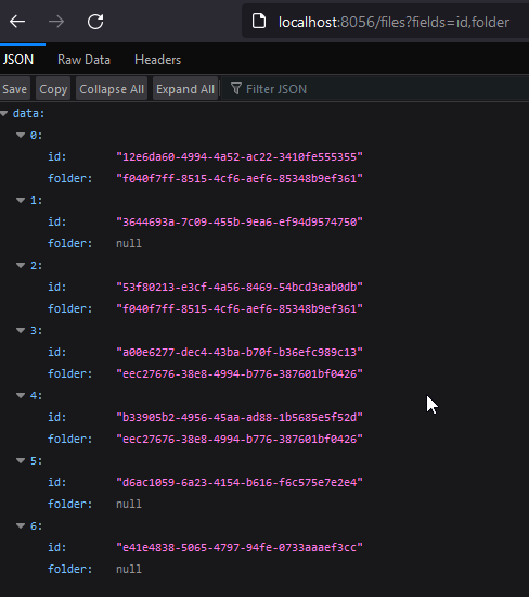 Directus_files item permissions Rule - Filter not working as expect w/ folder name does not ...