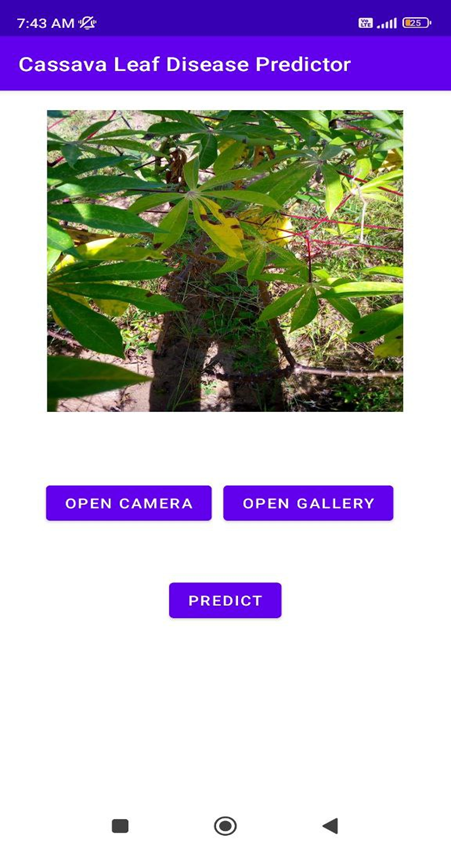 GitHub - nirala1610/Cassava-Leaf-Disease-Detection