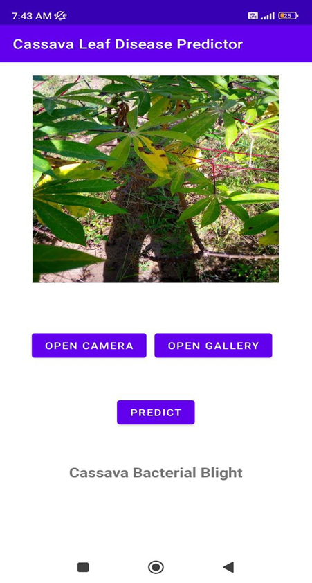 GitHub - nirala1610/Cassava-Leaf-Disease-Detection