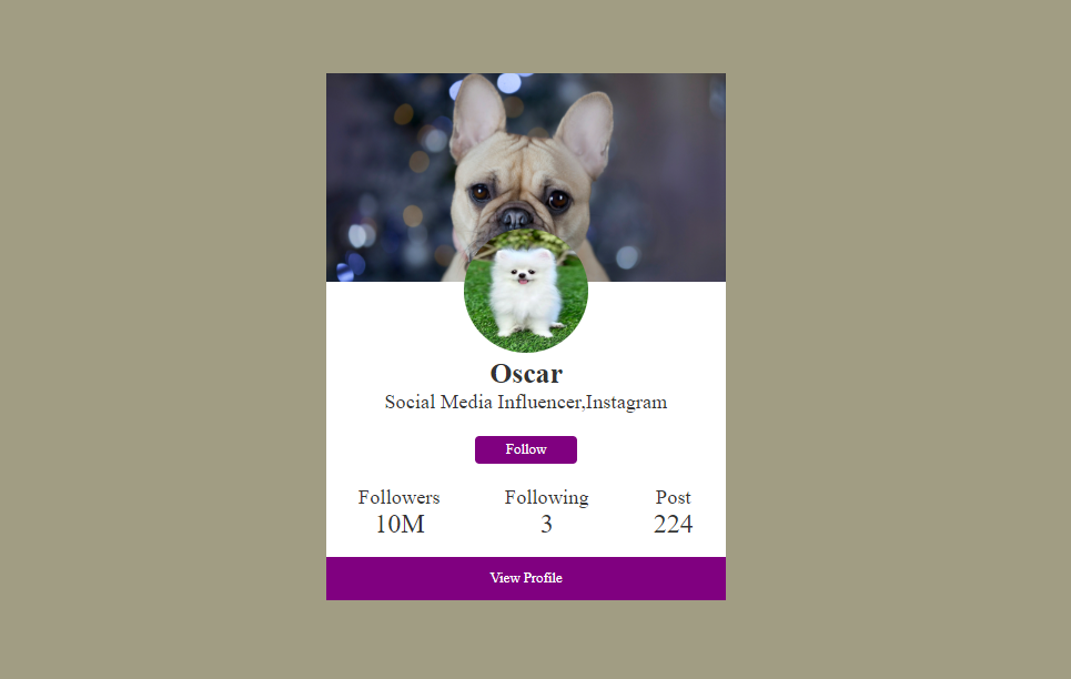 GitHub - gulshan0303/userProfile