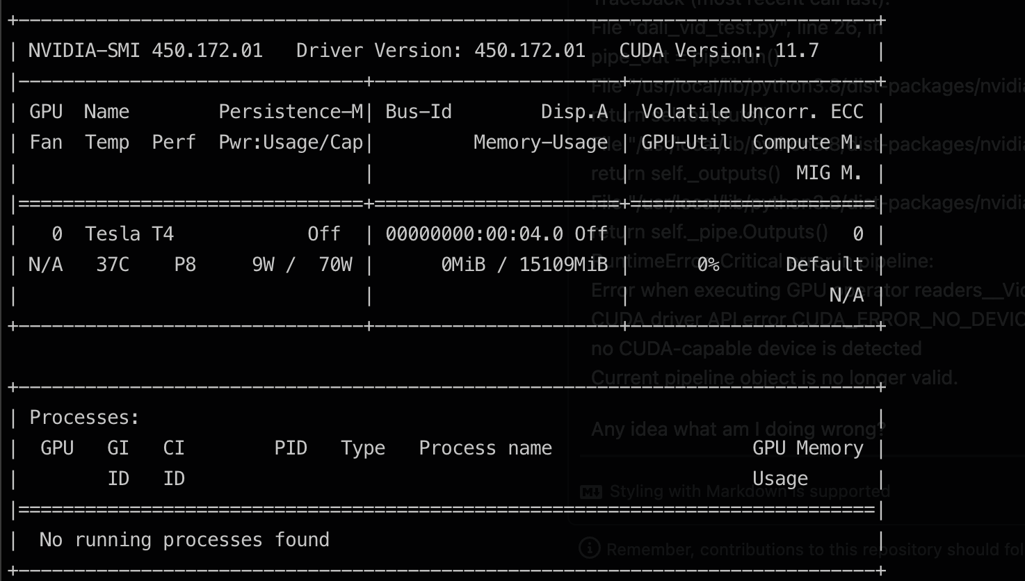 Using video reader inside a container · Issue #4034 · NVIDIA/DALI · GitHub