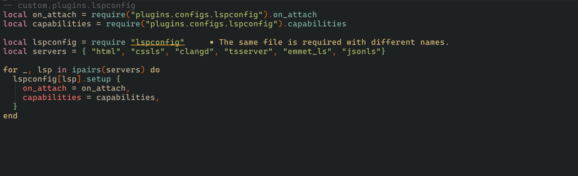 LSP problem · Issue #1388 · NvChad/NvChad · GitHub