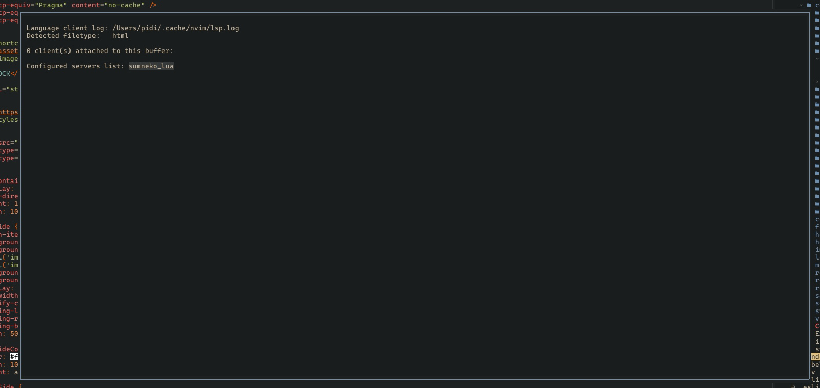 LSP problem · Issue #1388 · NvChad/NvChad · GitHub