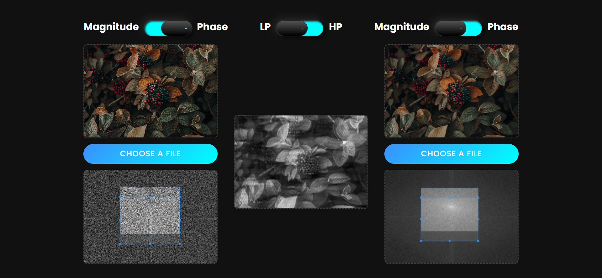 GitHub - Hanya-Ahmad/image-processing-website: This project uses digital signal processing ...