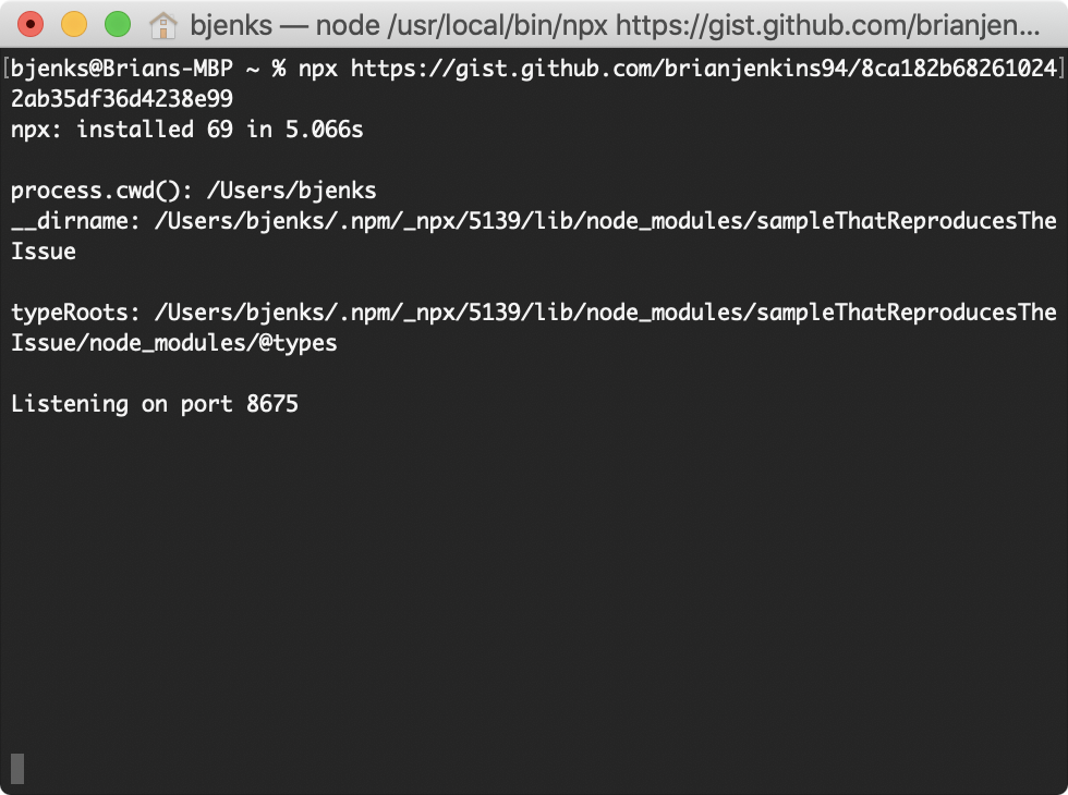 `npx`-invoked application that utilizes `ts-node` fails with ...