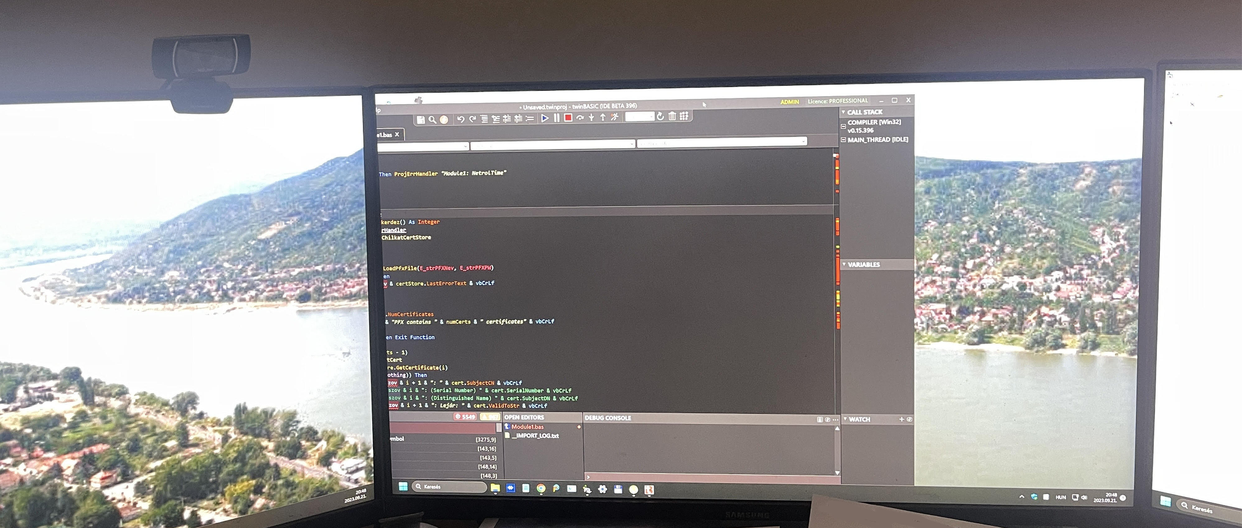 Maximize / Restore button problem · Issue #1683 · twinbasic/twinbasic · GitHub
