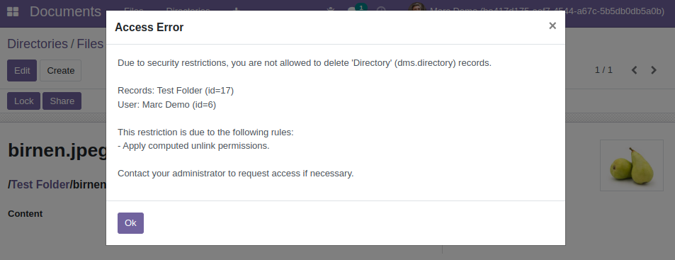 authorization in display only · Issue #254 · OCA/dms · GitHub