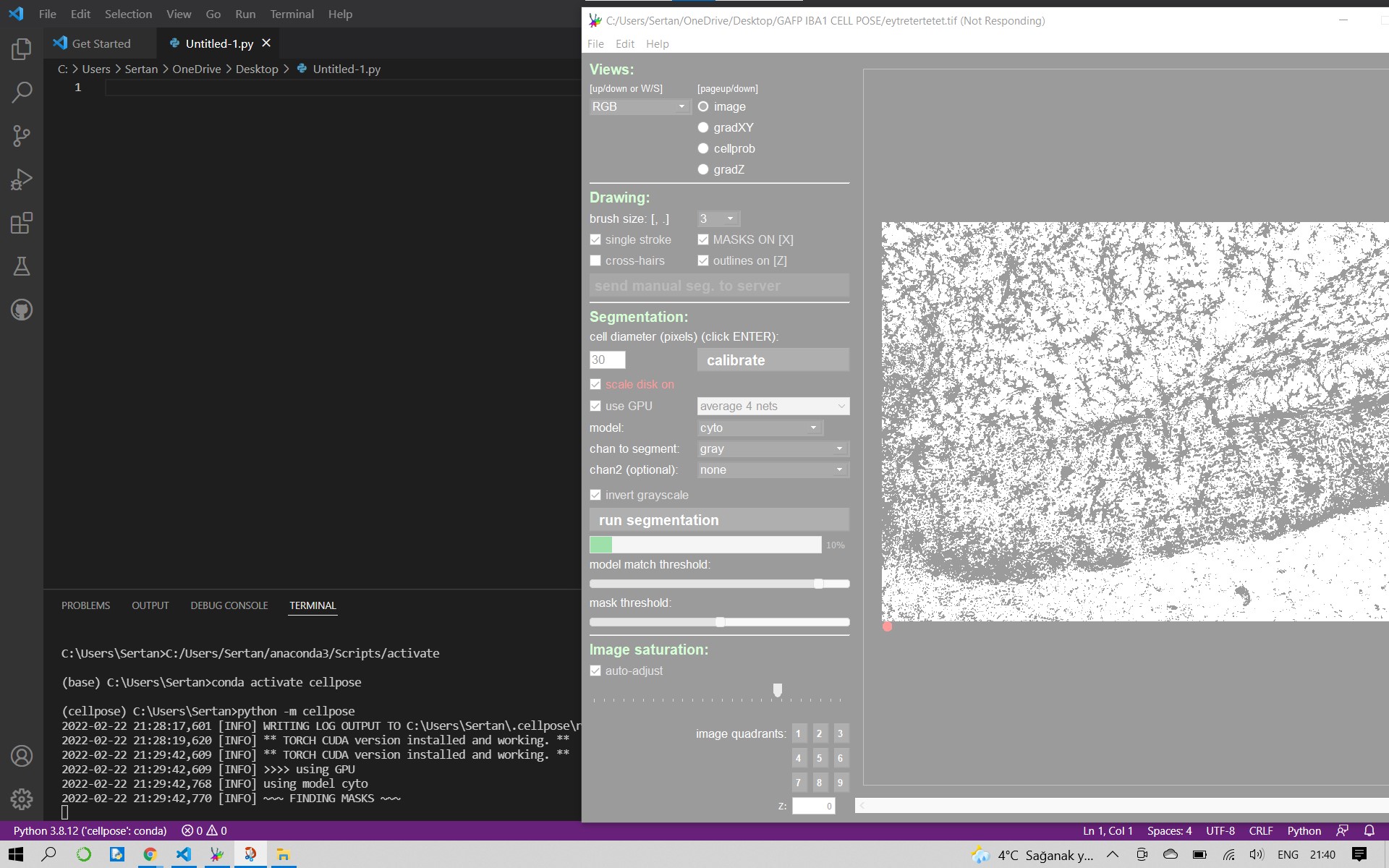 Cellpose does not respond in GPU · Issue #451 · MouseLand/cellpose · GitHub