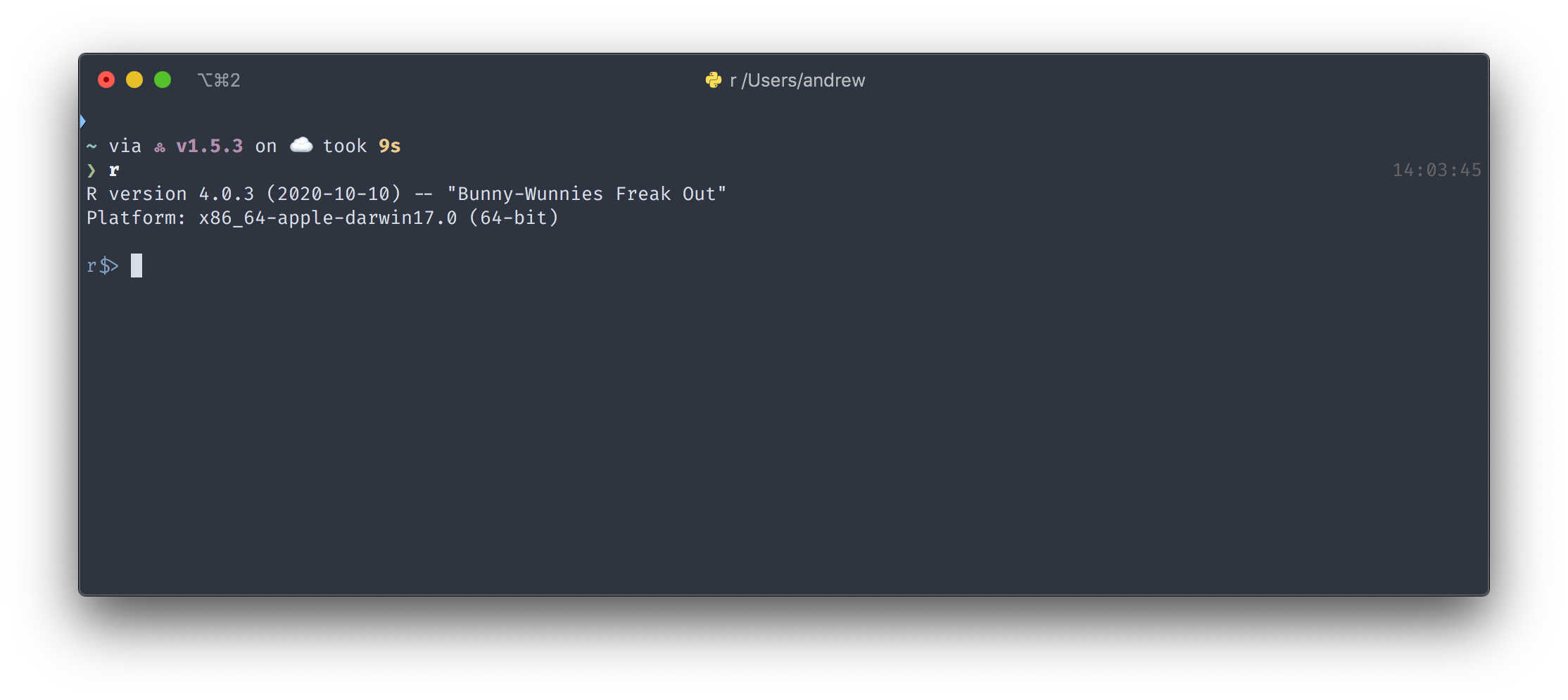 Autocompletion stops working · Issue #240 · randy3k/radian · GitHub