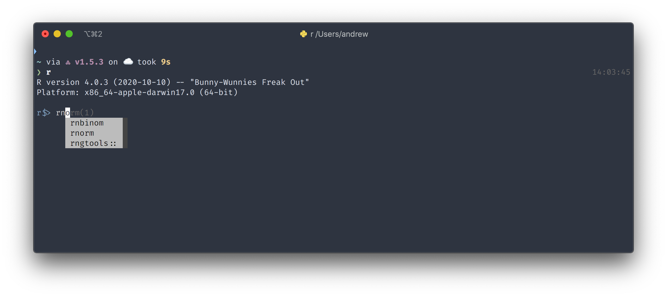 Autocompletion stops working · Issue #240 · randy3k/radian · GitHub