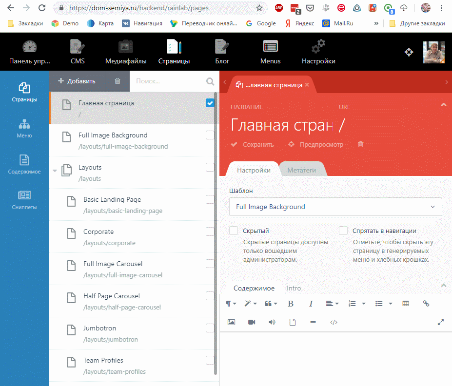 Error "Call to a member function property() on null" · Issue #401 · rainlab/pages-plugin · GitHub