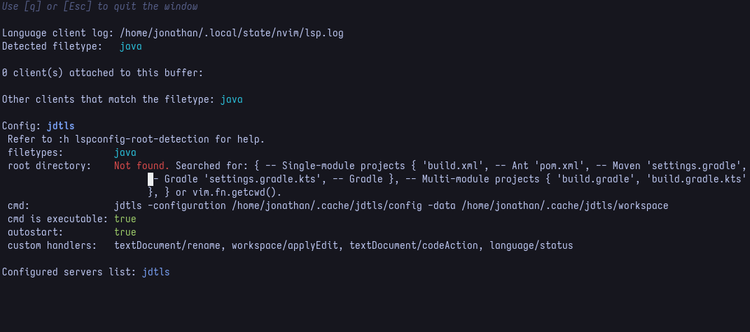 LSP issue with jdtls · Issue #3243 · LunarVim/LunarVim · GitHub