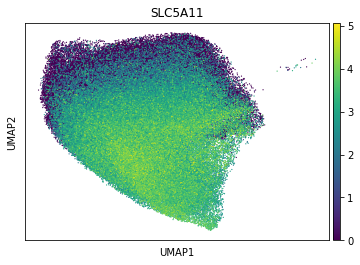 After sc.pp.normalize_total() and log1p() there is no gene expression ...