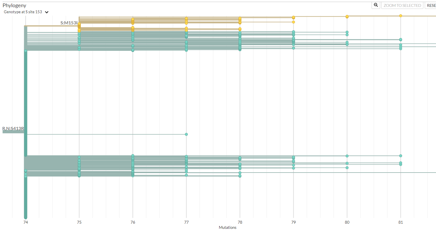 BQ.1.1 sublineage(s) with S:Y144-, S:M153I (607 and 75 seqs, mostly USA ...