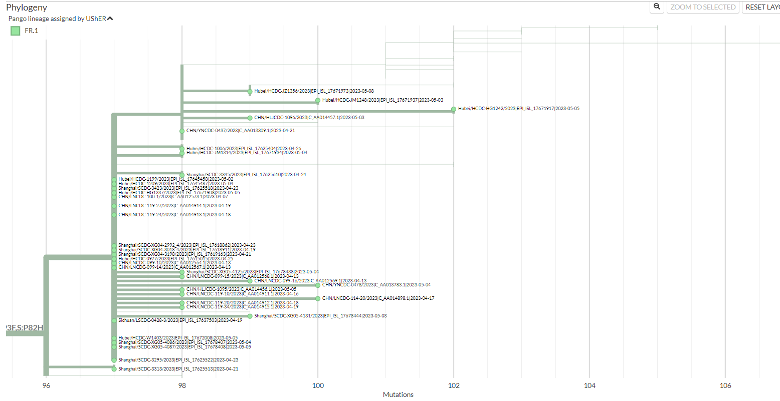 Quick (in China) FR.1 Sublineage with S:P82H (59 Seqs - China, Japan, Singapore, USA) · Issue ...