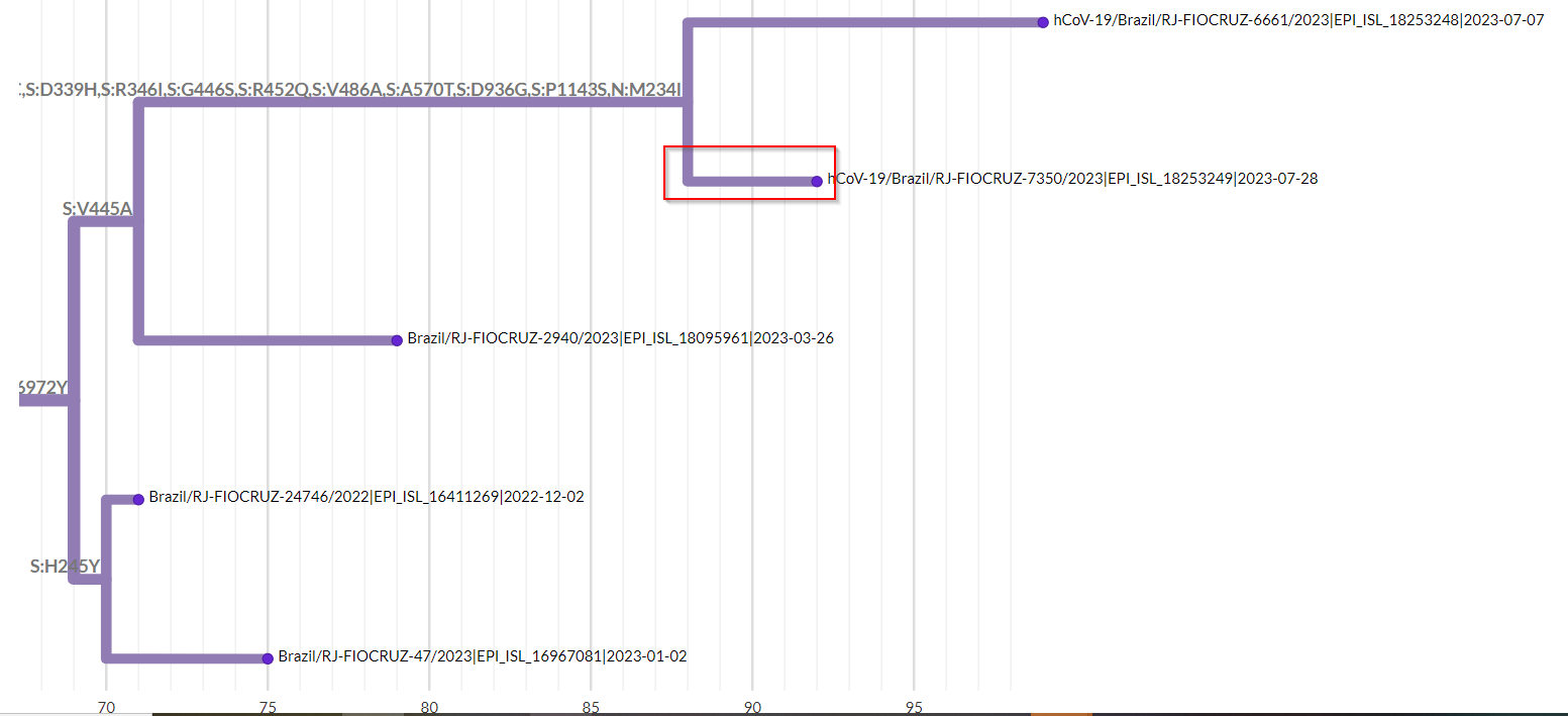 BA.5 saltation (~17 spike mutations) 2 patients. (5 seqs, Brazil) · Issue #807 · sars-cov-2 ...