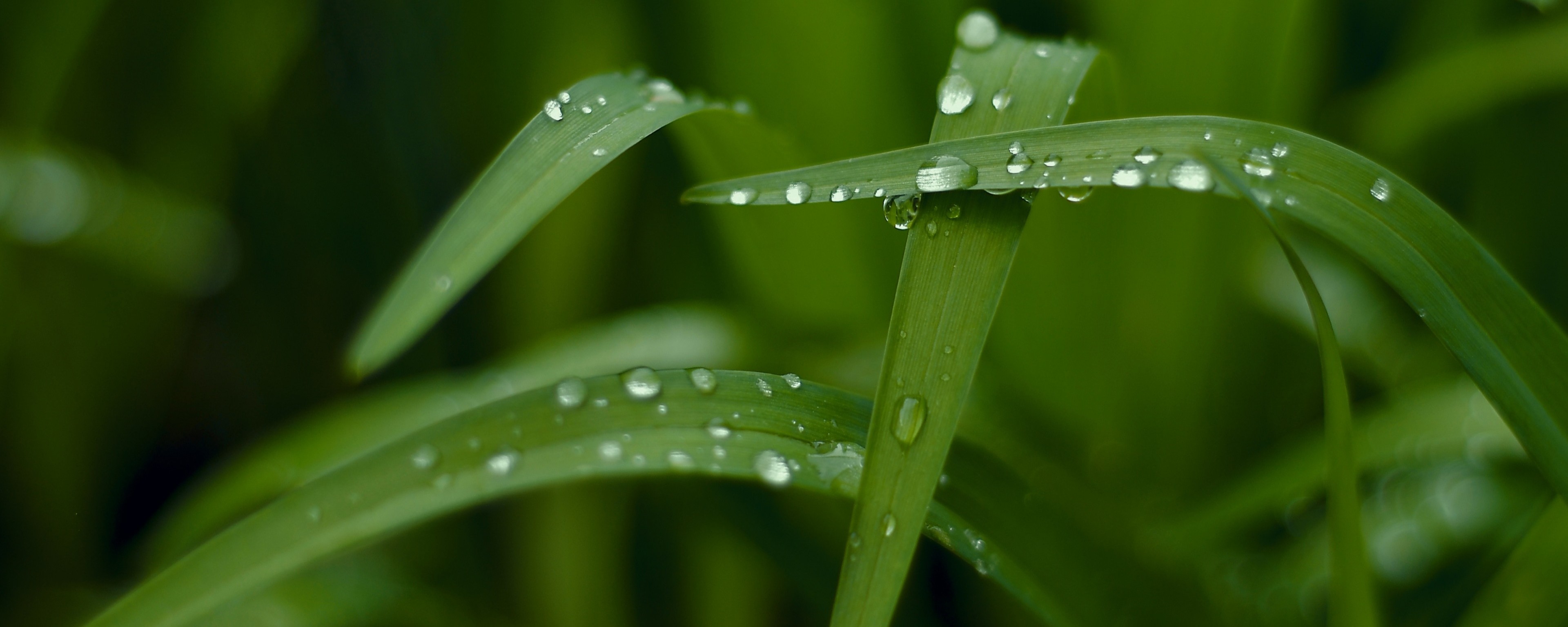 masoud-abdi · GitHub