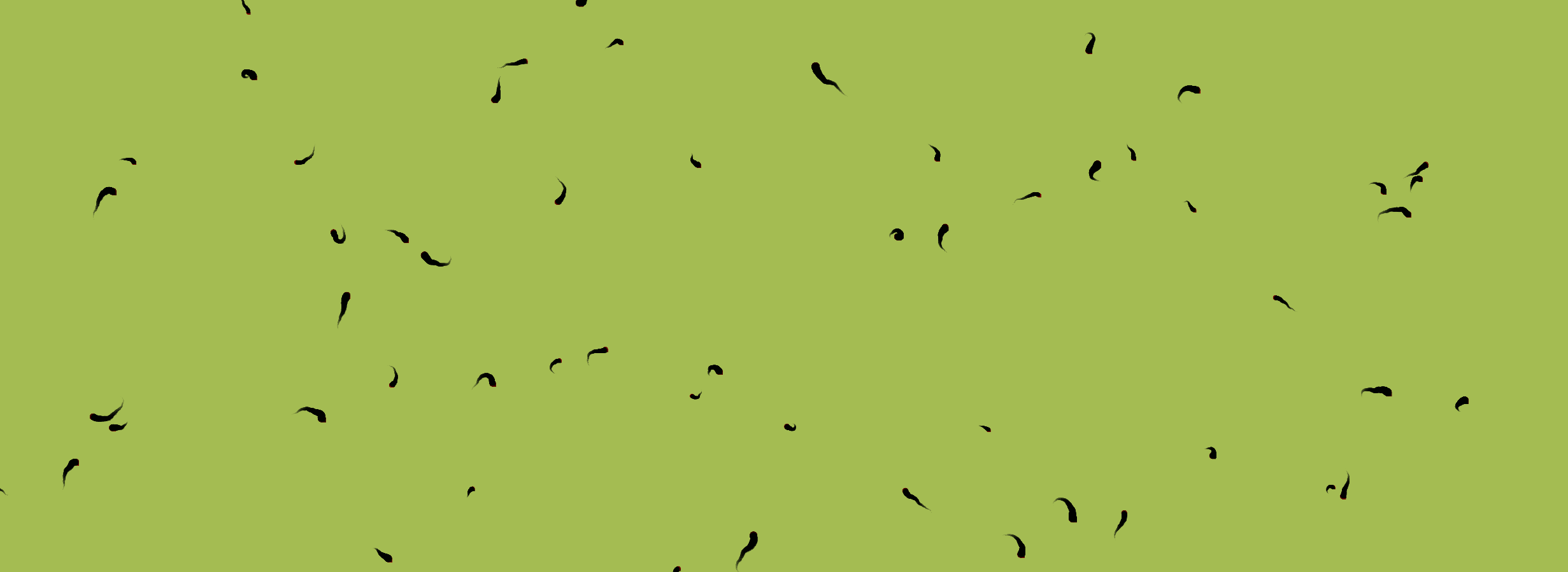 GitHub - GustavoVitorS/baby-black-snakes