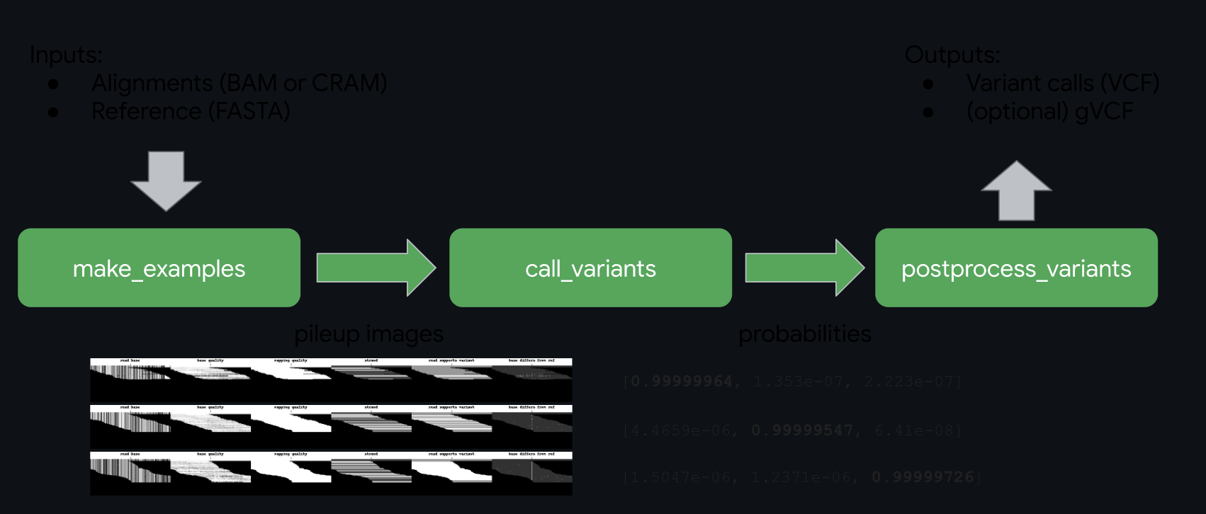 "How DeepVariant works" figure on Github dark mode · Issue #423 · google/deepvariant · GitHub