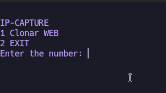 GitHub - R3D-GHOST/IP-CAPTURE: ip capture script to clone a website and remove ip (does not ...