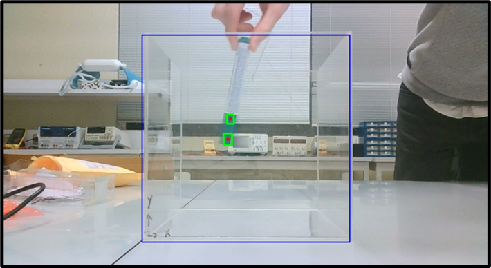GitHub - leonardo-ra/Fish-Vision-Project: Projeto para tracking de peixes num aquário