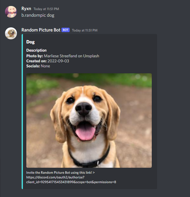 GitHub - Ryxn7/random-picture-bot-public: A discord bot that integrates ...