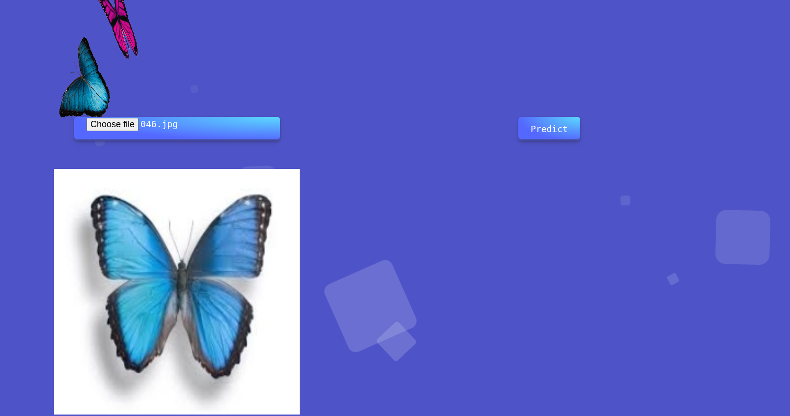 Github Atharva Shettybutterfly Species Predictor