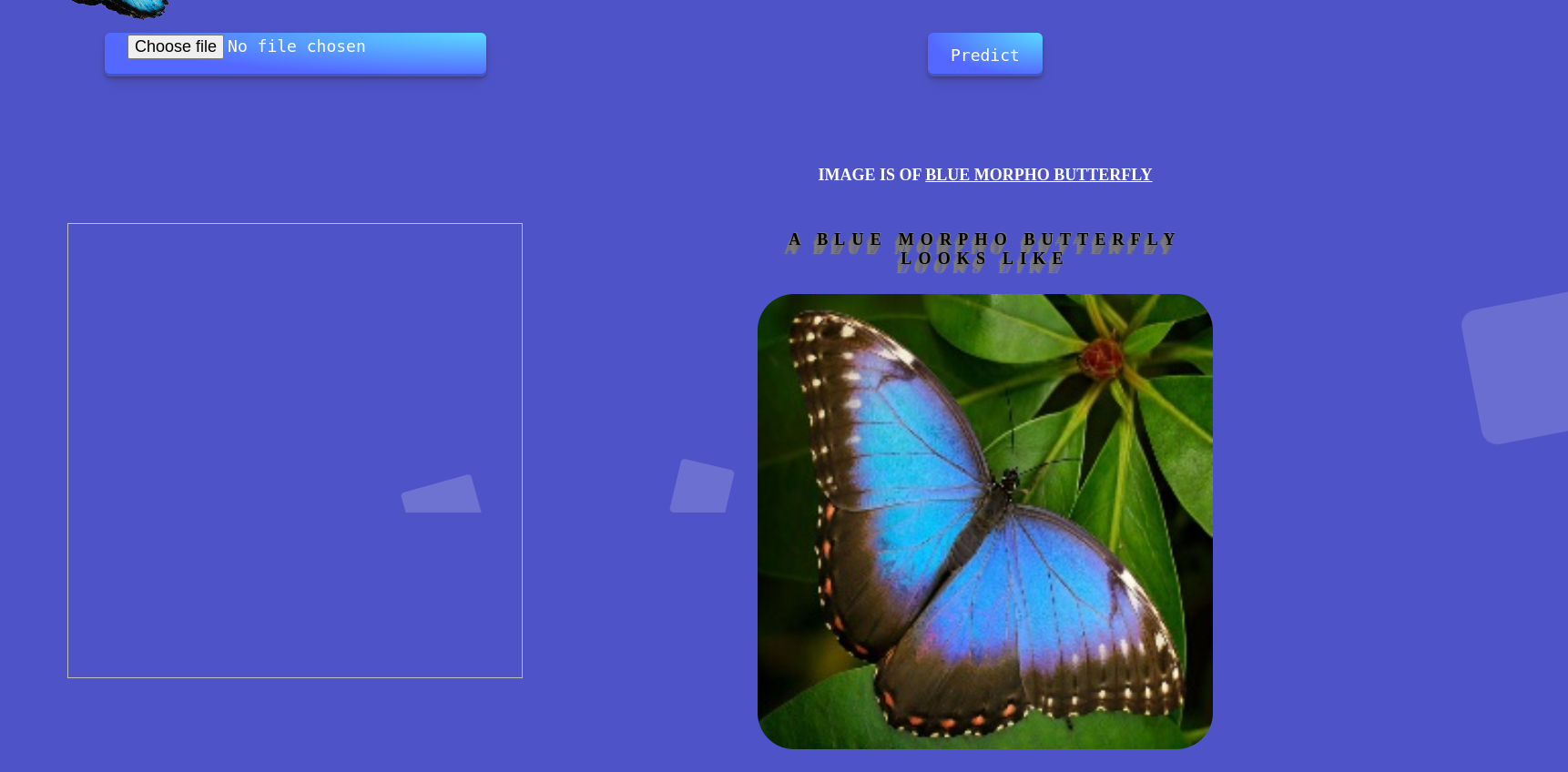 GitHub - Atharva-Shetty/Butterfly-Species-Predictor