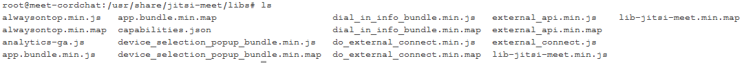 "only one instance of babel-polyfill is allowed" for external_api.min.js · Issue #3041 · jitsi ...
