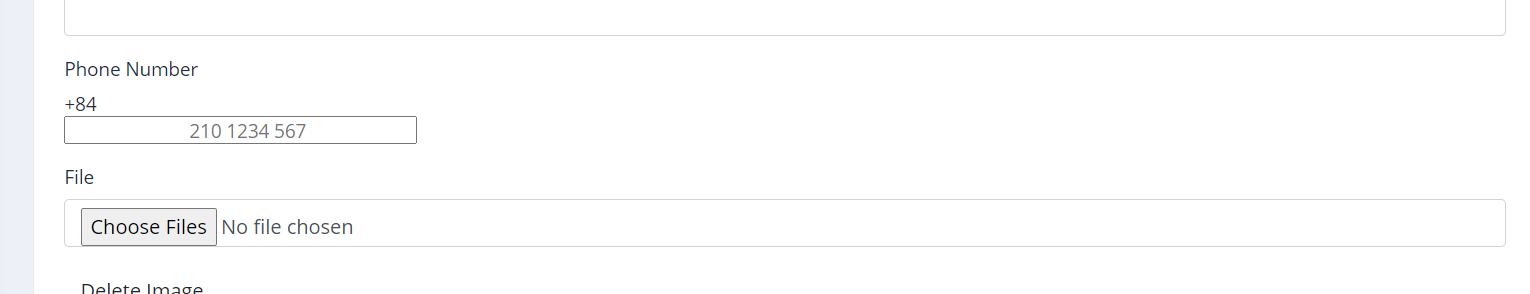 the internal telephone input can not show · Issue #5756 · akveo/ngx ...
