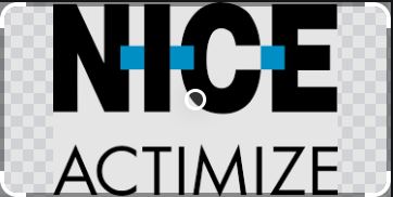 GitHub - gsaldutti/NICE-ACTIMIZE