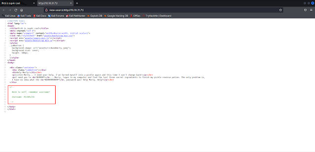 GitHub - hakankarabacak/THM-PickleRick-writeup