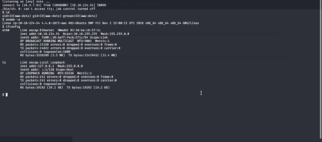 GitHub - hakankarabacak/THM-PickleRick-writeup