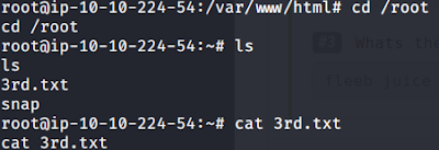GitHub - hakankarabacak/THM-PickleRick-writeup