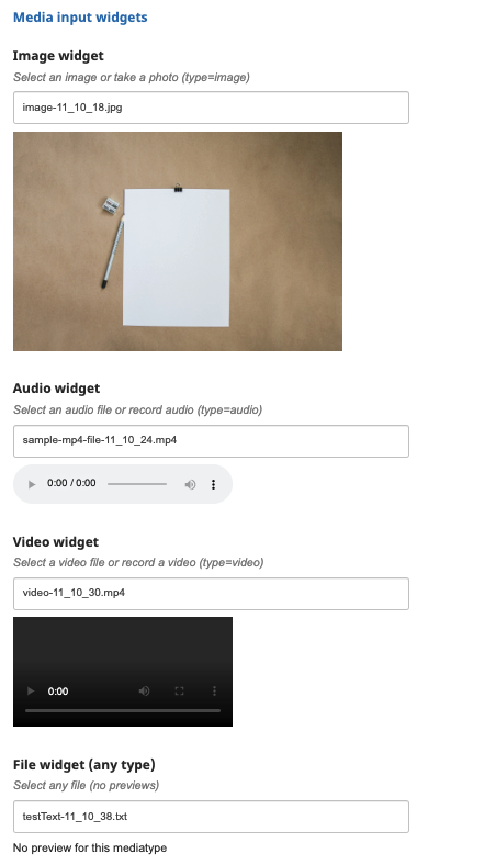 Test Enketo forms · Issue #194 · medic/cht-release-testing · GitHub