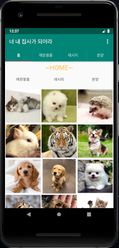 GitHub - choi-HyeongBin/PetSell_APP: 안드로이드 강의 프로젝트 - 애완동물 분양 및 레시피 앱