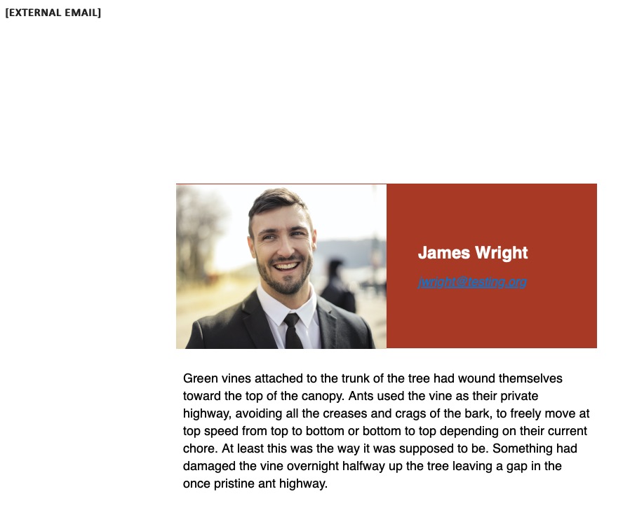 Base64 enabled breaks · Issue #11941 · mautic/mautic · GitHub