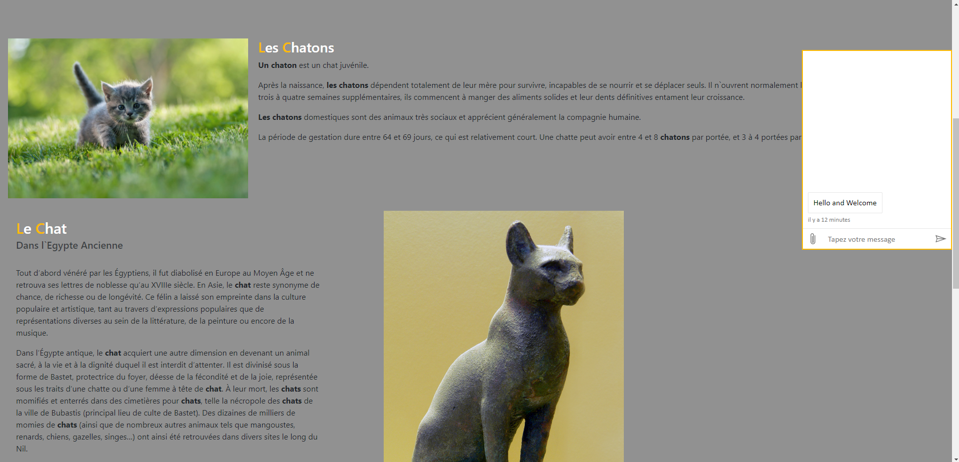 GitHub - oce-prcp/site-chatbot-azure: Site basique déployer sur azure contenant un chatbot